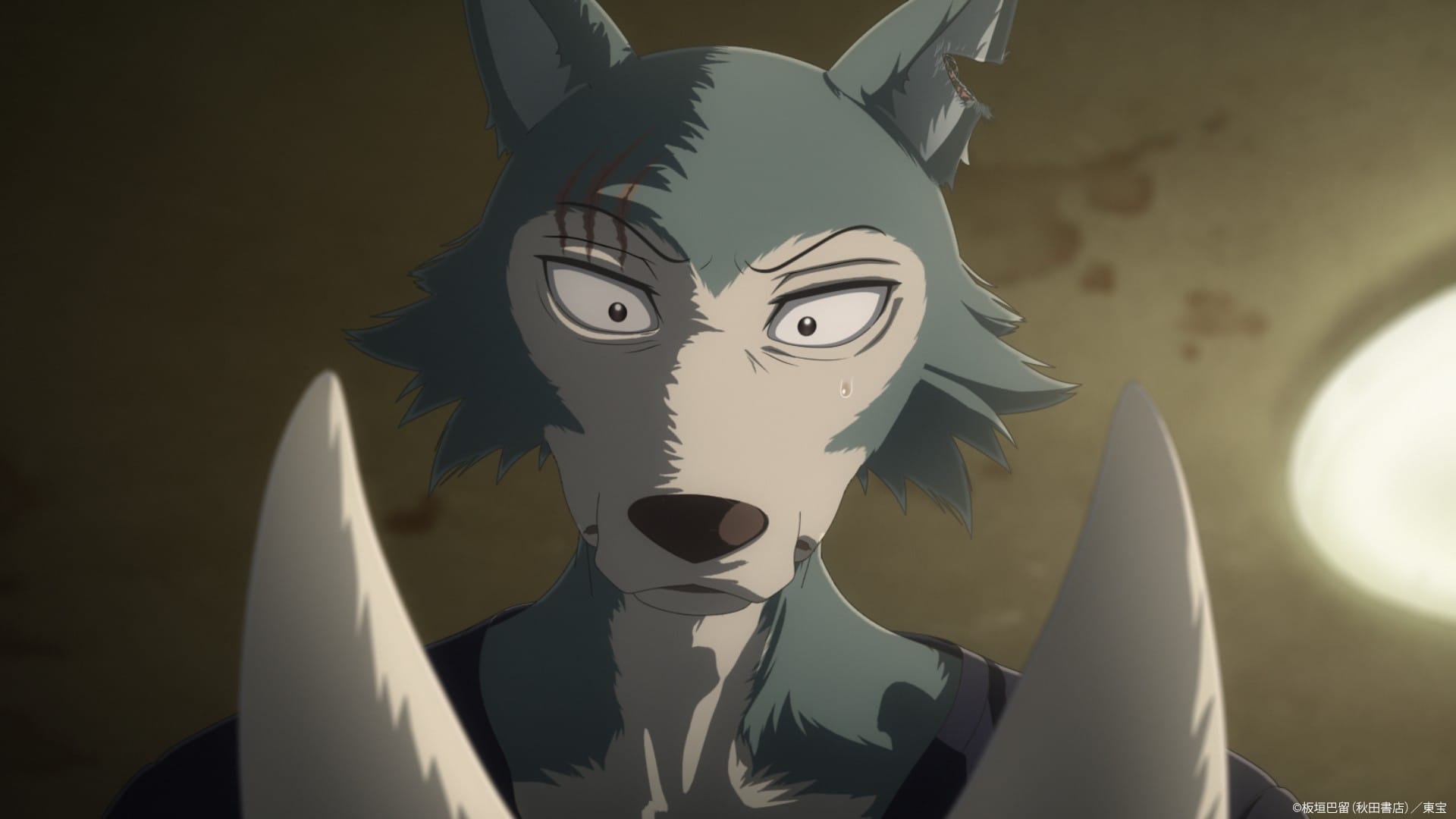 Netflix Unveils a First Look at Beastars Final Season Part 2 | Anime ...