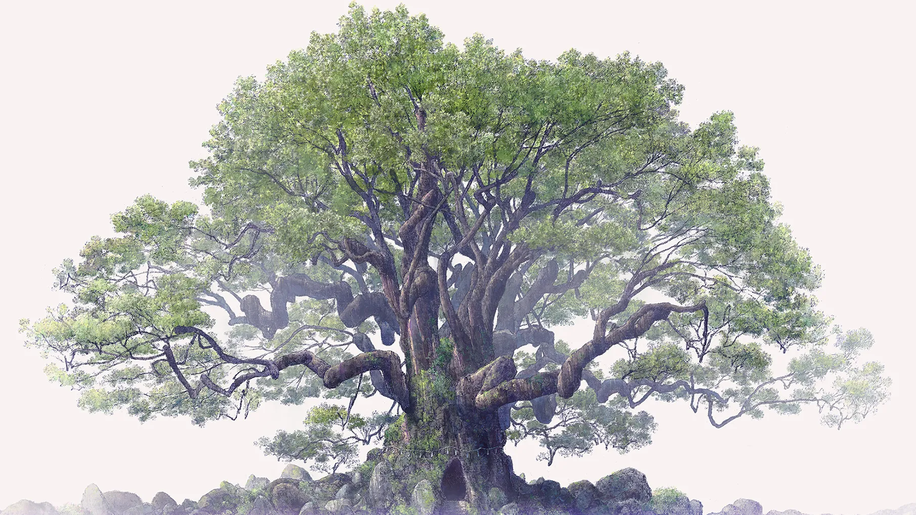 The Keeper of the Camphor Tree Novel Gets Anime Movie Adaptation by A-1 ...